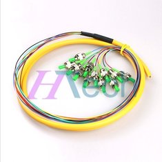 China Optical Fiber Pigtail FC/APC 12Core Optical Fiber Patch Cord supplier