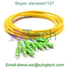 China Round Type 12Core SC/APC Fiber Optic Pigtail Fanout 0.9mm supplier