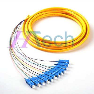 Singlemode indoor 12 fiber cores Fiber optic pigtail, PVC/LSZH Outer Jacket，OD0.9mm supplier