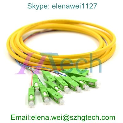 Round Type 12Core SC/APC Fiber Optic Pigtail Fanout 0.9mm supplier