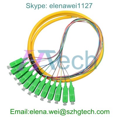 Round Type 12Core SC/APC Fiber Optic Pigtail Fanout 0.9mm supplier