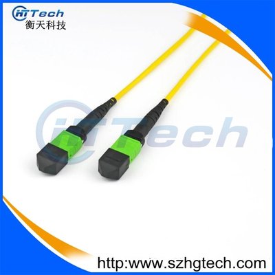 MPO Patch Cord Singlemode/Multimode supplier