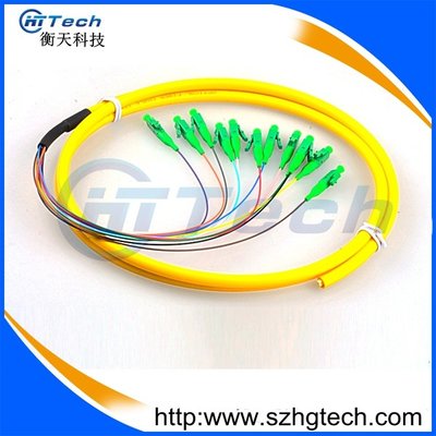 China Manufacturer 12 Cores Bundle 0.9mm 2.0mm Diameter Multi-Fiber Pigtail supplier
