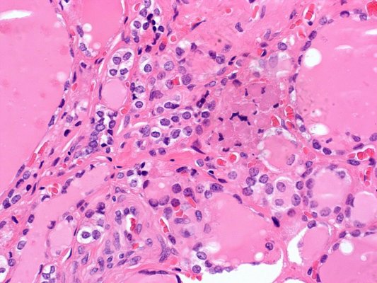Biological Microscope For CASA IVF Semen Analysis Laboratory Microscope supplier