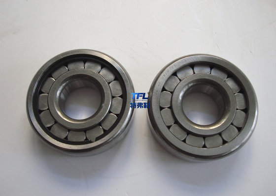 China Bearing steel 06NF0824-23NC3 Nonstanderd Bearing Special Cylindrical Roller Bearing supplier