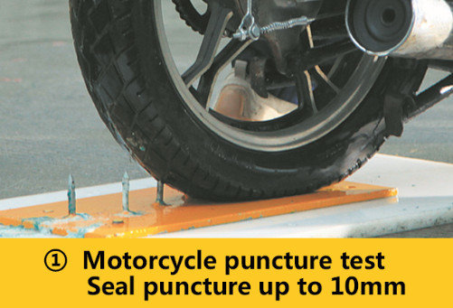 OEM Puncture Repair Prevention and  Anti-Rust Tire Sealant 350ml