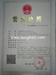 Xi'an Tengkai Electro-mechanical Equipment Co Ltd