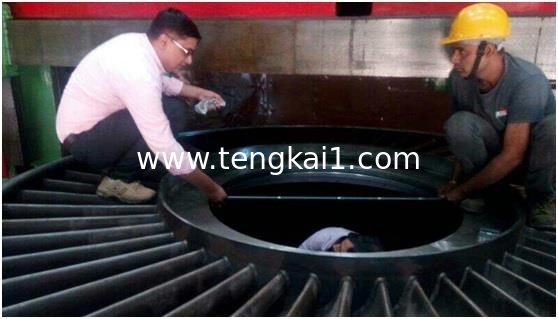 DEC Turbine Spares IP ( Intermediate Pressure) 1st Stage Diaphragm With Blades