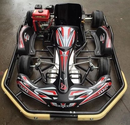 200cc or 270cc Lifan Engine Adult Racing Go Kart
