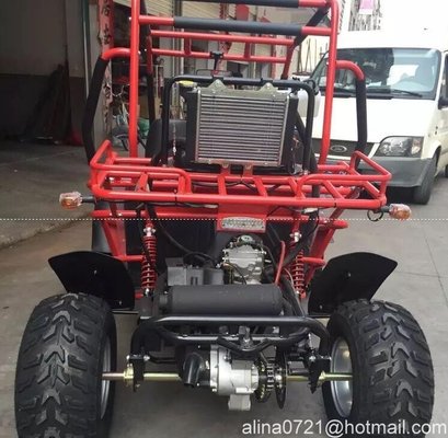 250cc Water-Cooled Chain Drive Go Kart With EEC / COC