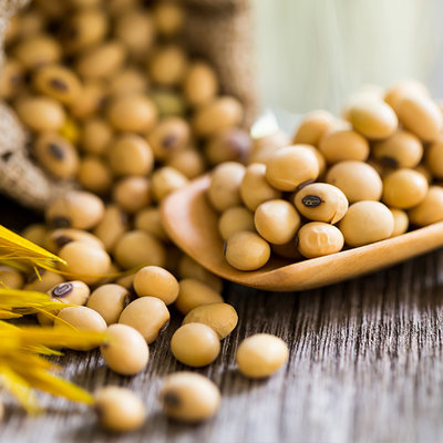 E322 C42H84O9PN Liquid Soy Lecithin Food Grade Emulsifier