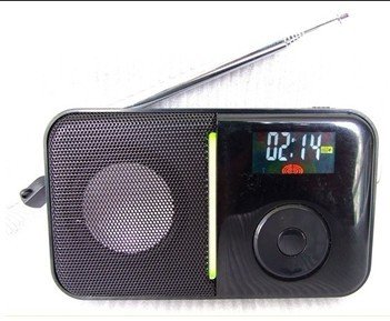 USB Card radio speaker with Neon flashlight  