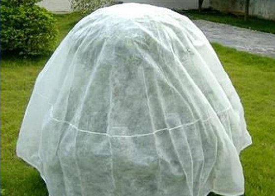 Transparent Spunbond Non Woven Landscape Fabric for Agriculture Plant Cover