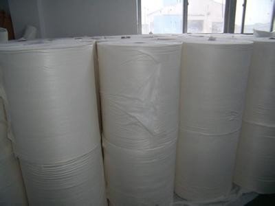 Anti-bacterium Spunlace Nonwoven Fabric with Viscose / Polyester , Multi Purpose