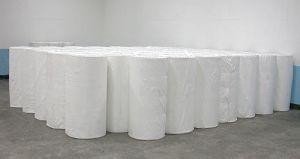 Printed Spunlace Non Woven Fabric