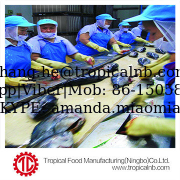Supply canned seafood product - canned light tuna in sunflower oil EOE