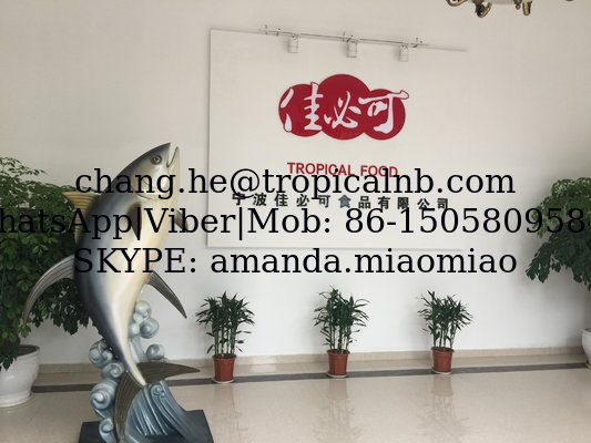 125g club can Canned mackerel fillet in oil