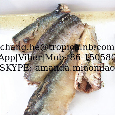 24X425g Canned sardine in vegetable oil