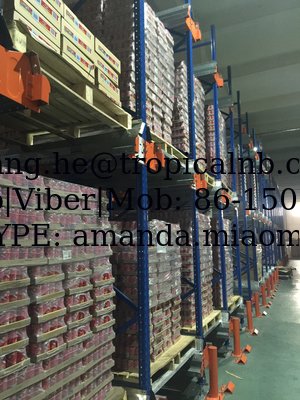 24X425g Canned sardine in vegetable oil