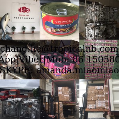 Canned tuna shredded in oil