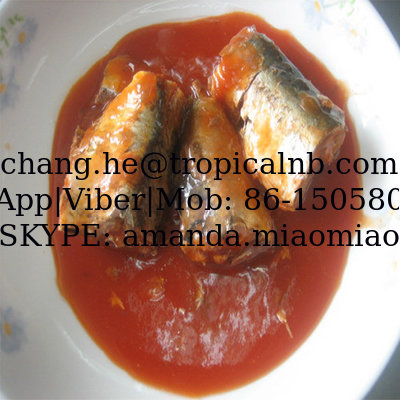 Best sardines in tomato sauce 50X155g