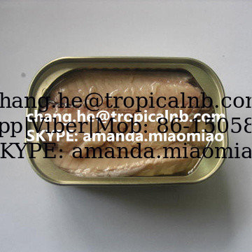 125g club can Canned mackerel fillet in oil