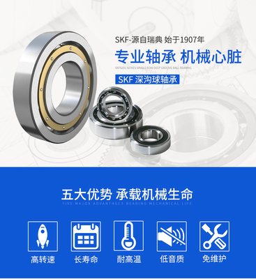 SKF  Deep Groove Ball Bearing High Speed Bearing Silent WhatsApp：+8615271357675