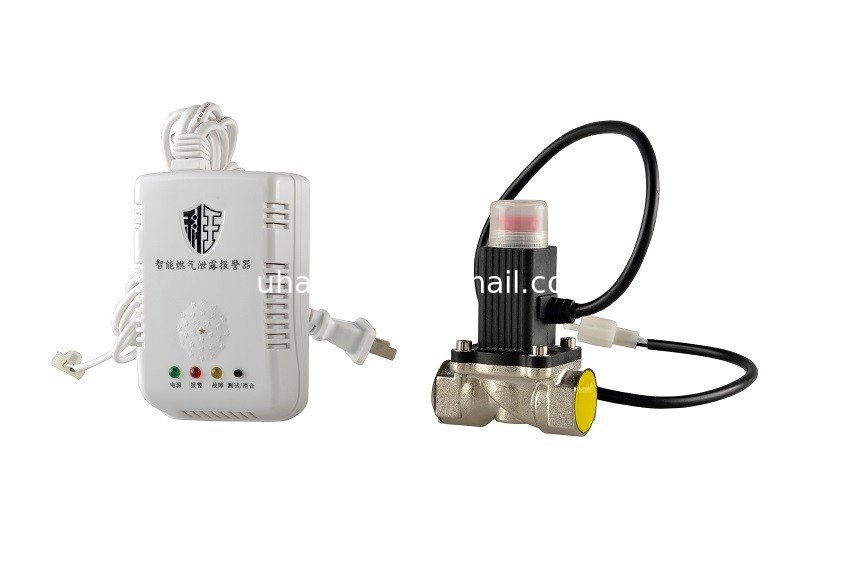 Household Smart Domestic Gas Detector With Shut-off Valve For Home Kitchen From Factory