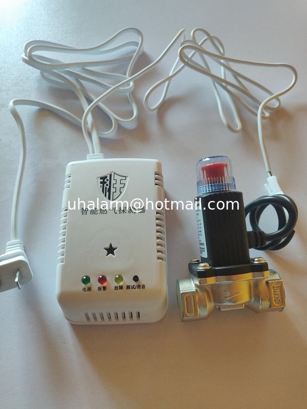 Home Domestic Combustible Gas Detector With Solenoid Valve For Home Kitchen From Factory