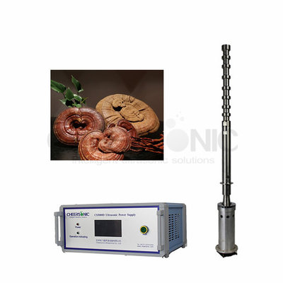 Simple Operation Ultrasonic Extraction Equipment , Ultrasound Assisted Extraction For Chlorophyll