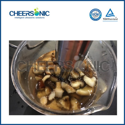 Fast Ultrasonic Extraction Equipment For Animal And Plant Oil Extraction , IUIP3000