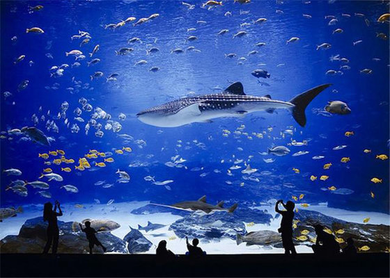 Transparent Cast PMMA Aquarium Acrylic Sheet , 18mm milky Acrylic Sheet