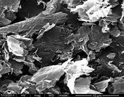 China Graphene Suspension in NMP manufacturer