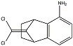 China 9-(DichloroMethylene)-1,2,3,4-tetrahydro-1,4-Methanonaphthalen-5-aMine manufacturer