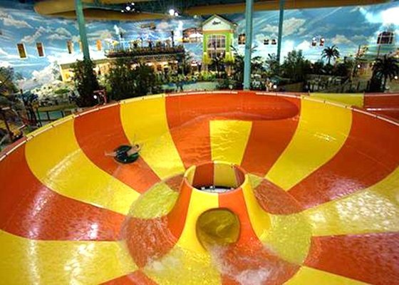 Commercial Backyard Space Bowl Water Slide for Adult , Fiberglass Pool Slide