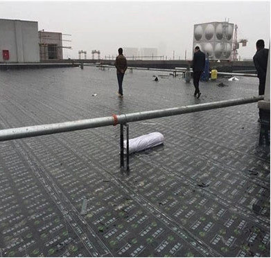 Waterproof Roof Underlayment