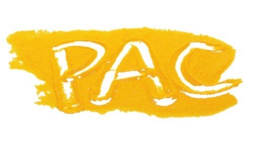 CAS No.1327-41-9 Polyaluminium Chloride PAC Powder 28% 30%