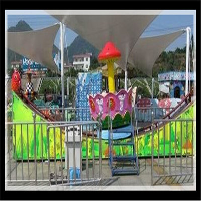amusement park  double wave rides  newest for sale supplier