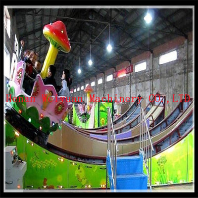 New  amusement park rides kids track rides double wave sliding car fairground rides supplier