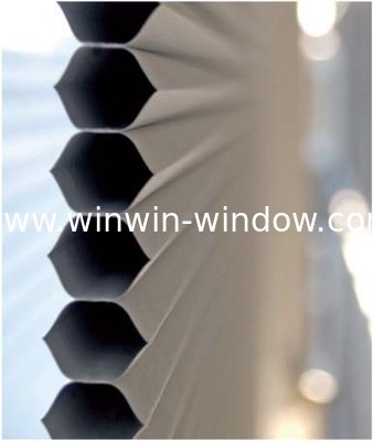 Honeycomb Blinds