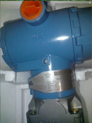 Rosemount 148 Analog Temperature Transmitter   Rosemount 248 Wireless HART Temperature Transmitter