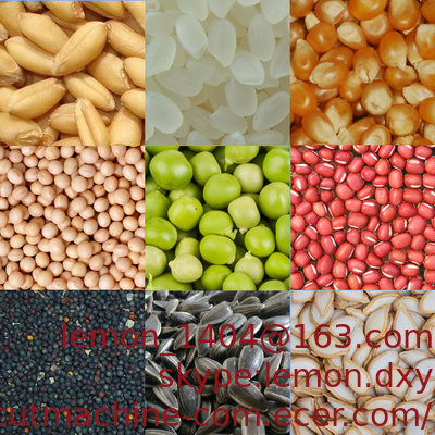 SLY-C Automatic Seeds Counter Machine for Various Shapes Seeds
