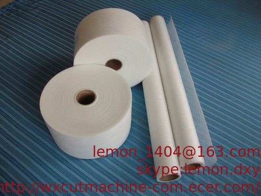 automatic shoes webbing cutting machine(cold cutter) LM-615