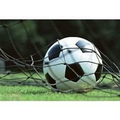 China Artificial Grass, Tencate Thiolon Fifa Standard supplier