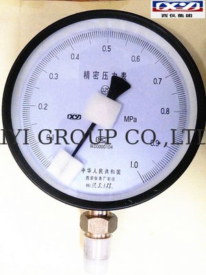 Precision Pressure Gauge YB150 (0.1-1MPa)