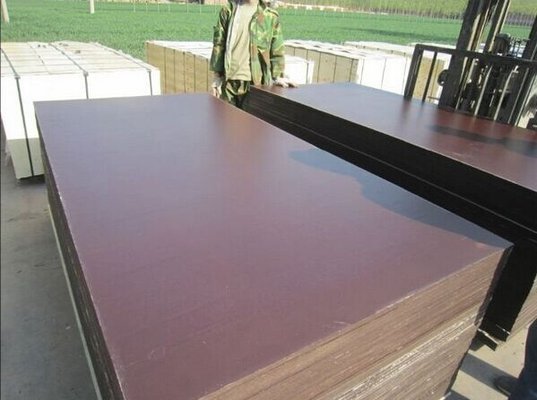15mm Black or Brown Waterproof Marine Plywood for Construction
