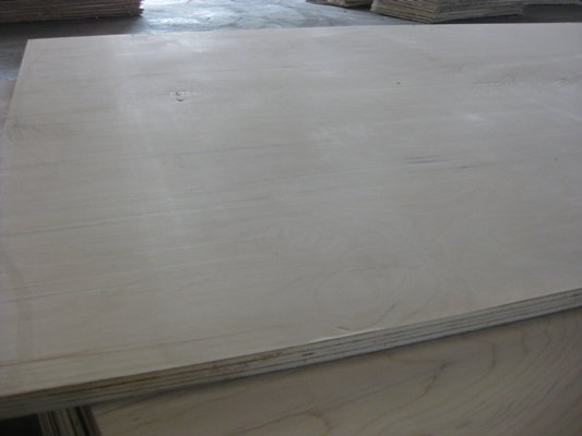 Supply 5mm Environmental BB/CC Grade Birch Plywood