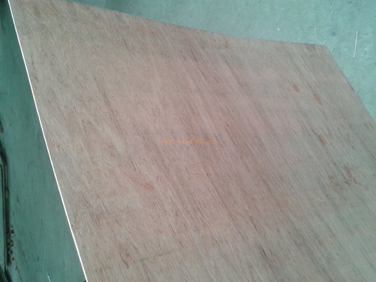 Supply 5mm Environmental BB/CC Grade Birch Plywood