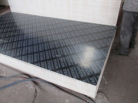 Factory Direct Sales Post Forming Brown/Black 18mm 4X8 Film Faced Plywood for Building Materials