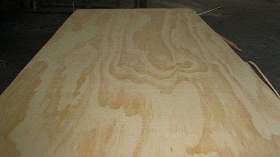 Supply 13mm 4X8 High-Quality Green Pine Wood Veneer Plywood (used as highchairs)